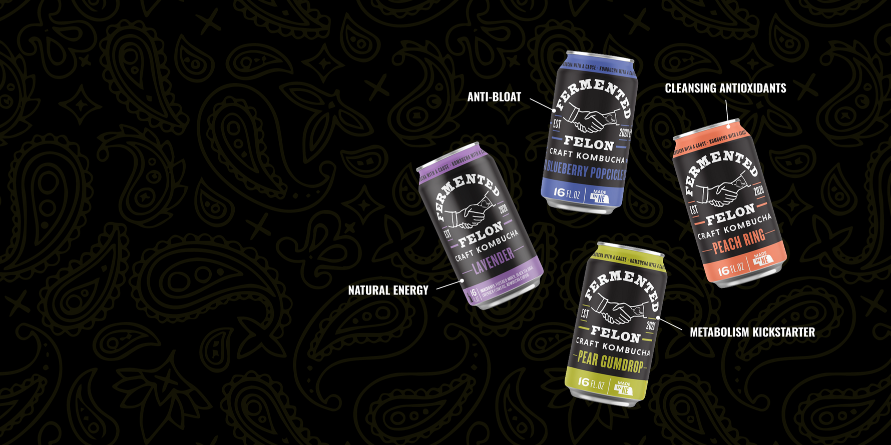 Fermented Felon – Fermented Felon Inc